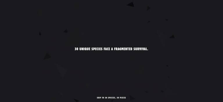 20+ Best Interactive and Fun Website Examples in 2024 - Weblium Blog