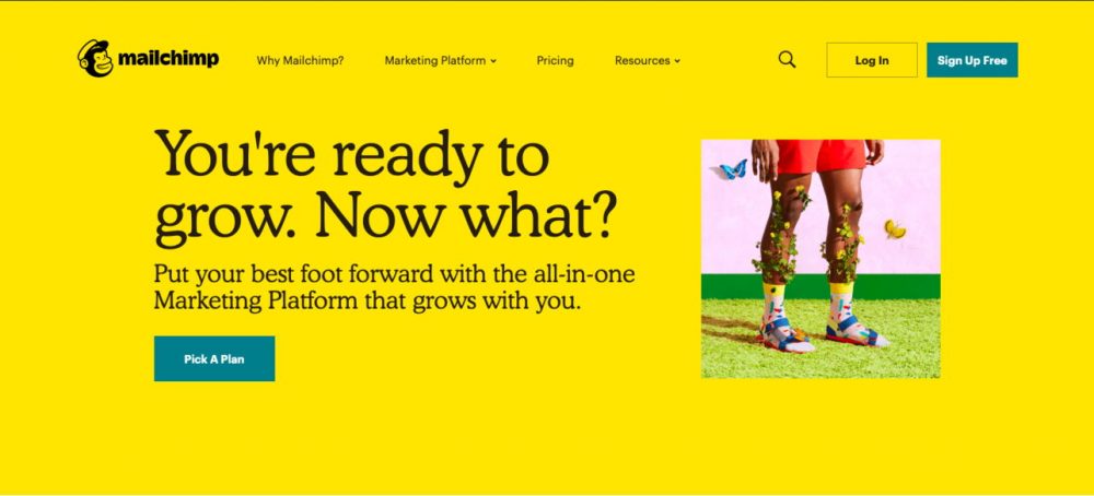 Website Redesign: Step-By-Step Process, Tips, And Examples | Weblium
