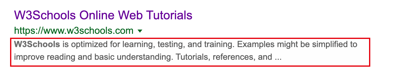 What are Tags and Must Have Website Tags You Need to Know | Weblium
