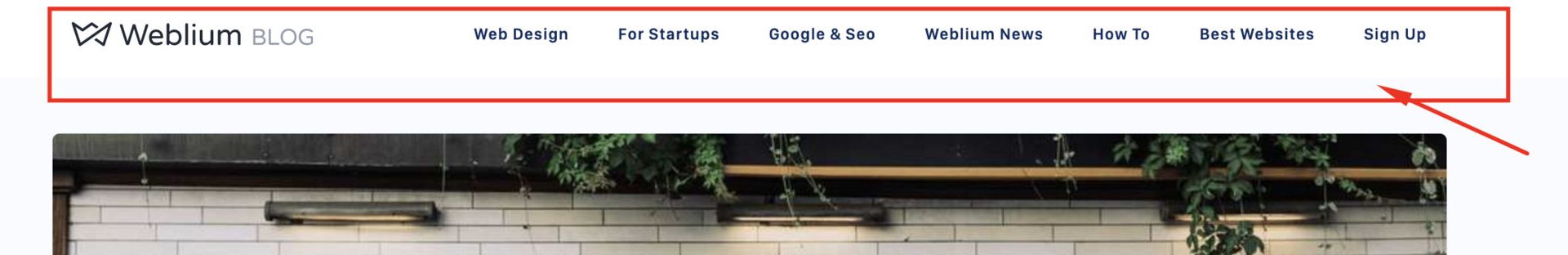 Anatomy of a Website 101: Must-Have Web Design Terms | Weblium 🚀