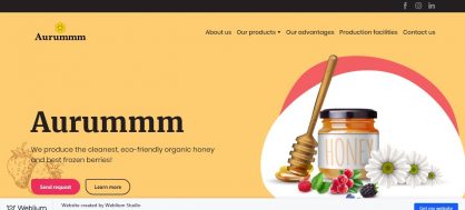 13 Interesting Website Background Examples - Weblium Blog