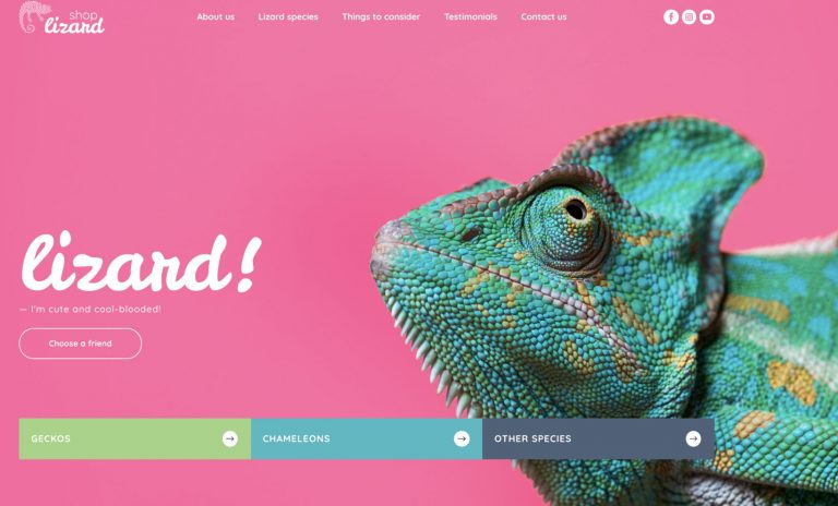 Best Homepages: 24 Top Homepage Examples in 2025 - Weblium Blog