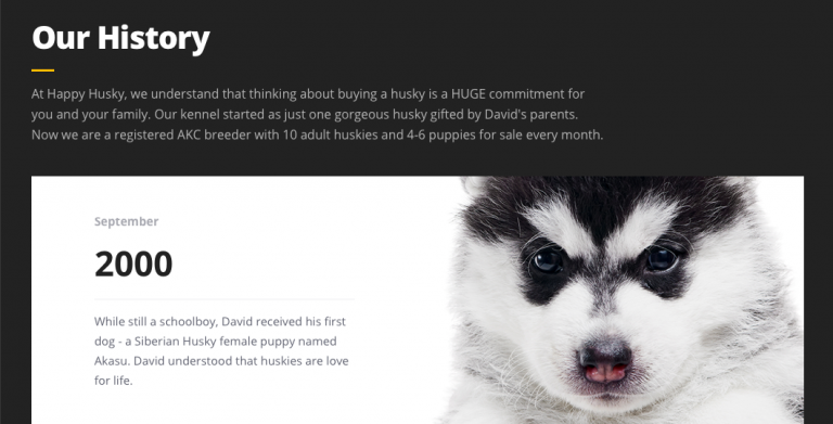 Animal Website Templates - Weblium