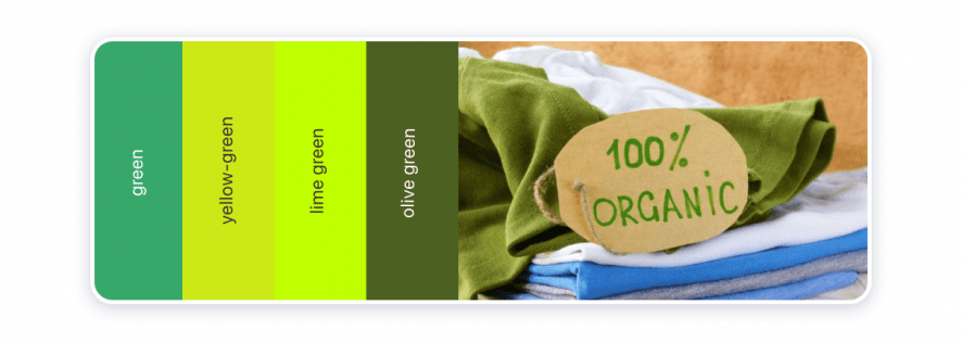 How to Choose a Color for Your Website - Weblium Blog