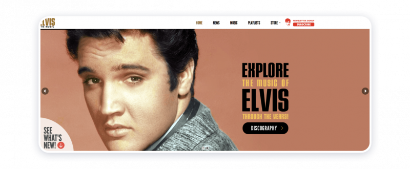 30+ Best Band and Musician Websites: Inspiring Examples - Weblium Blog