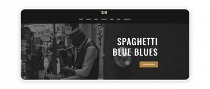 30+ Best Band and Musician Websites: Inspiring Examples - Weblium Blog