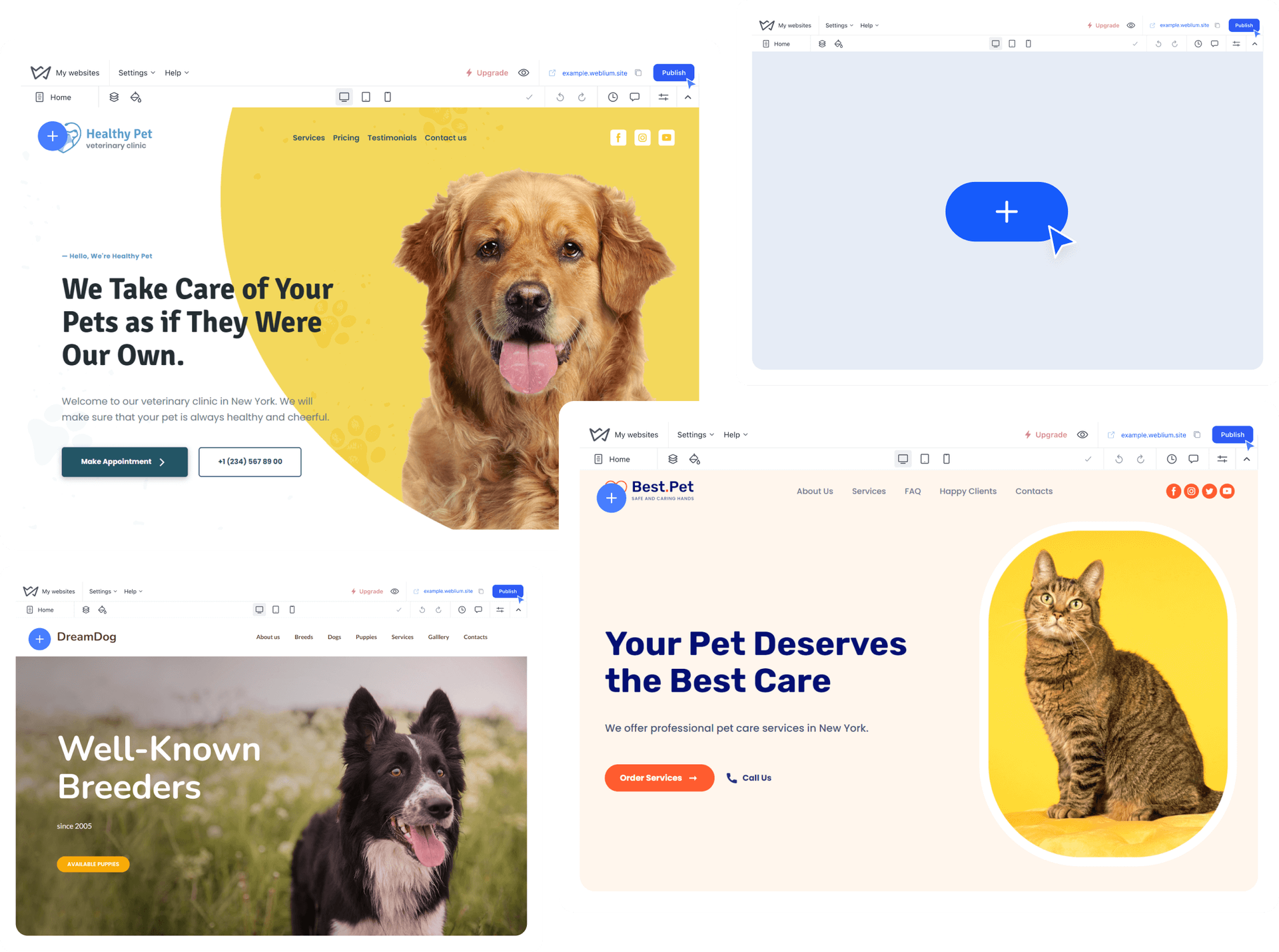 Dog Breeder Website Builder | Weblium